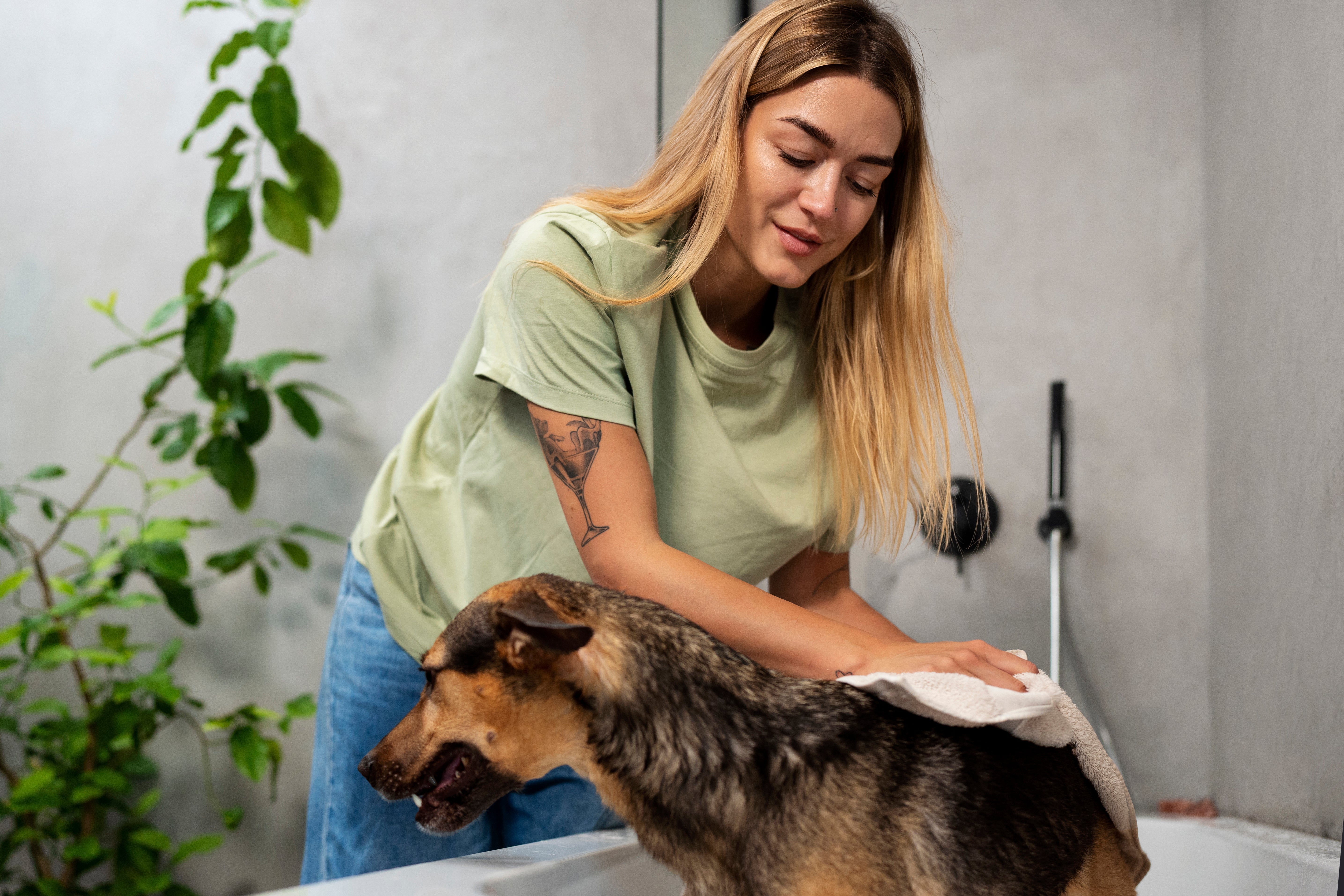 Dog Hygiene Tips: Complete Guide to Keeping Your Dog Clean & Healthy ...